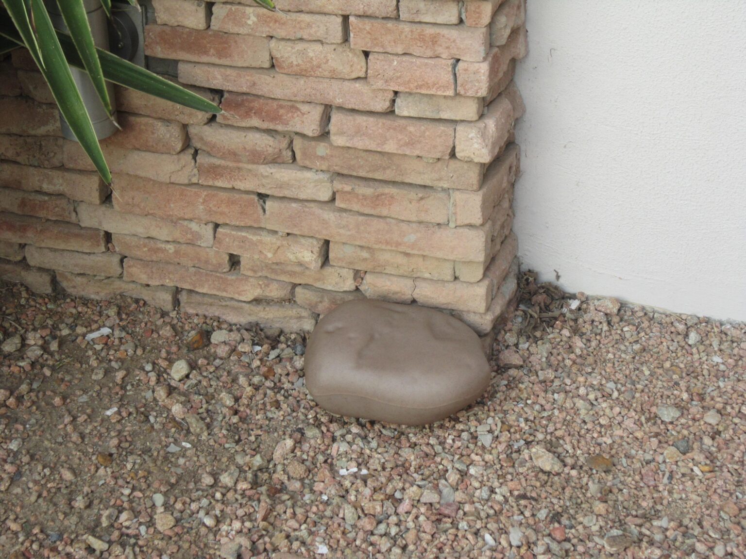 Rock Bait Station - Ensystex.co.za