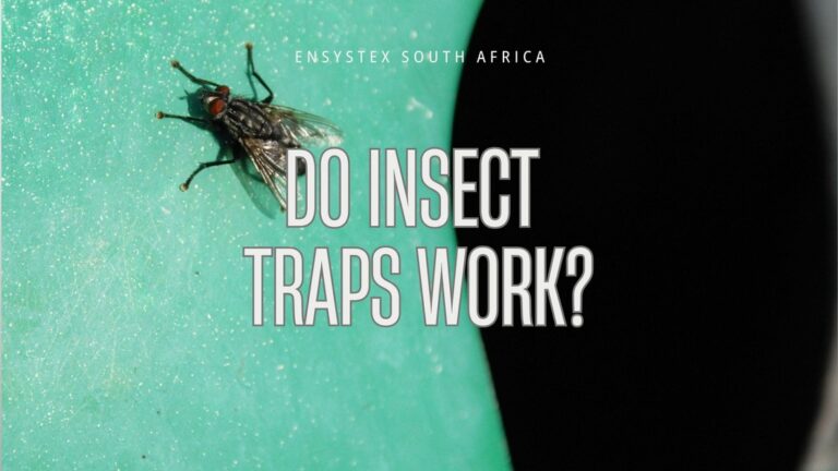 Do Insect Traps Work? - Ensystex.co.za