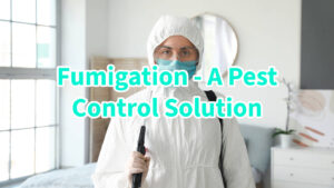 Fumigation | Effective Pest and Hygiene Control | Ensystex.co.za