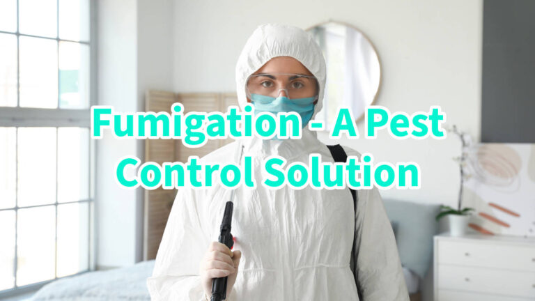 Fumigation | Effective Pest and Hygiene Control | Ensystex.co.za