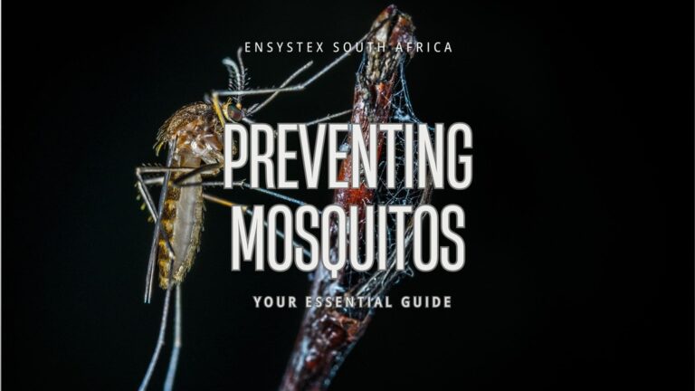Preventing Mosquitos this Summer | Ensystex.co.za