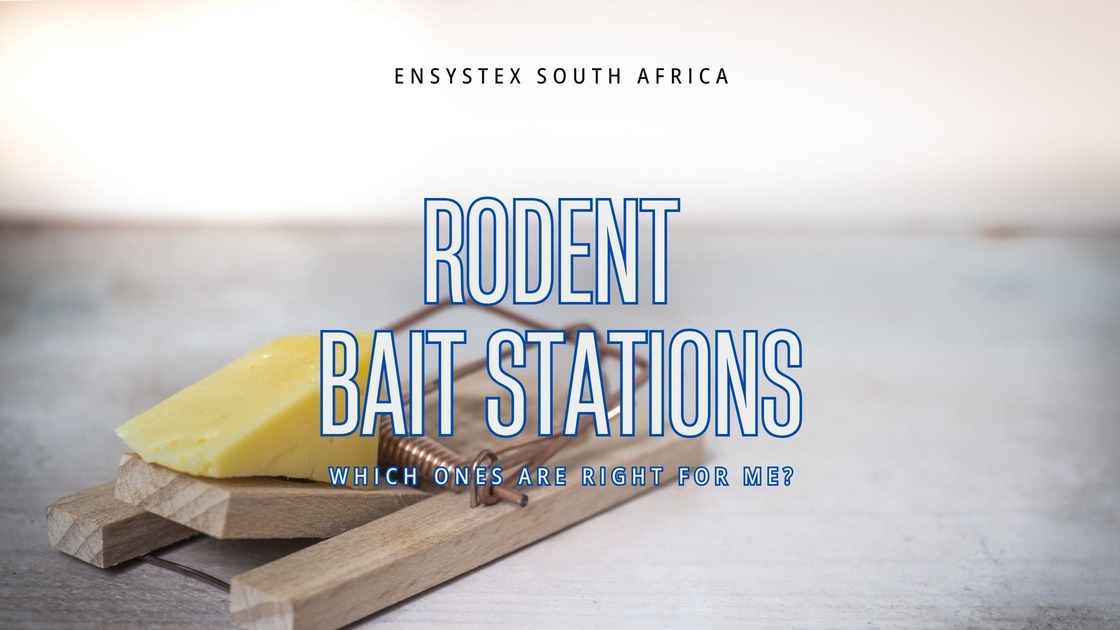 Rodent Bait Stations: Which Ones Are Right for Me? - Ensystex.co.za