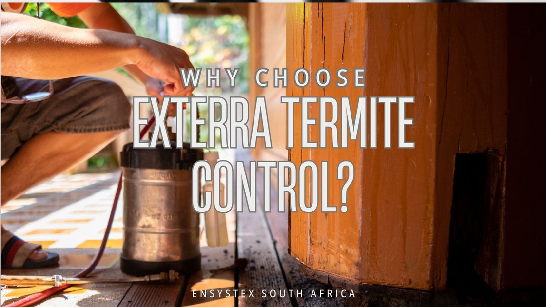 Why Choose Exterra Termite Control? - Ensystex.co.za